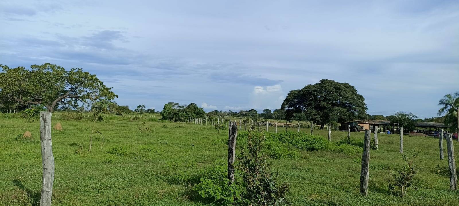 FAZENDA À VENDA EM IMPERATRIZ MA 353,32 HECTARES (DUPLA APTIDÃO)