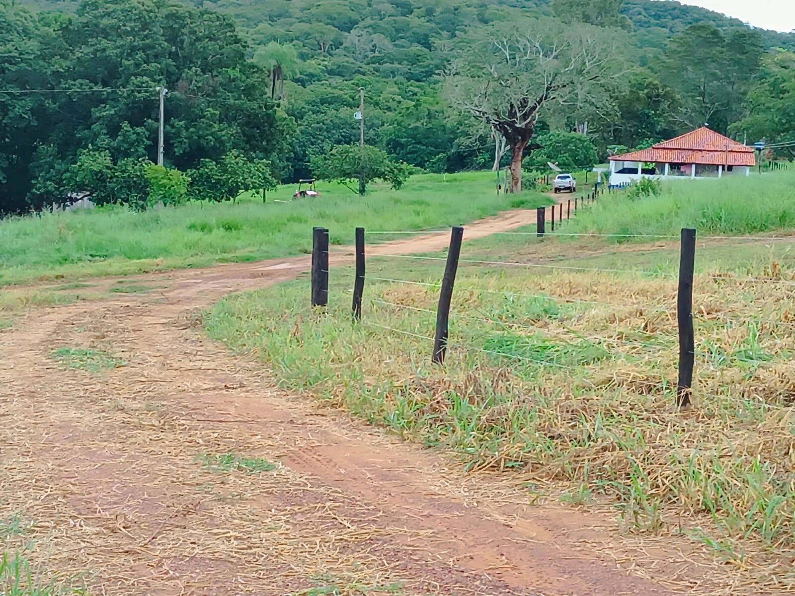 Excelente Fazenda em RIO NEGRO-MS 860 HECTARES para PECUÁRIA - 2699