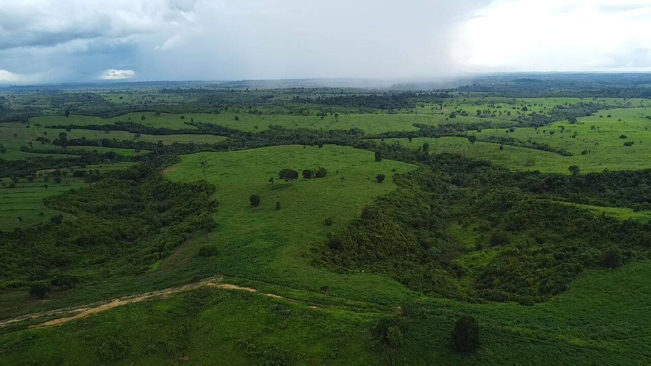 FAZENDA À VENDA EM MARABÁ PA 474,32 HECTARES (PECUÁRIA) - 2918