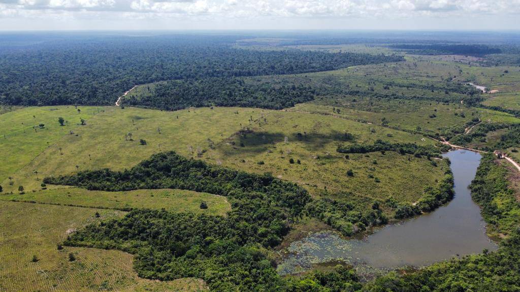 FAZENDA À VENDA EM BAIÃO PA 2.250 HECTARES (DUPLA APTIDÃO) - 2930